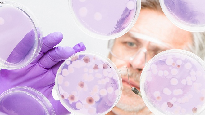 LifeSciencesPath - Capgemini Argentina