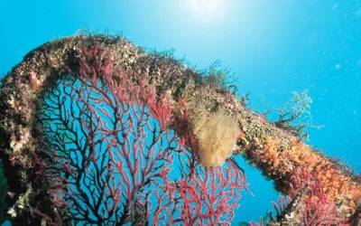 Intelligent industry: The backbone of creativity in aerospace and ...