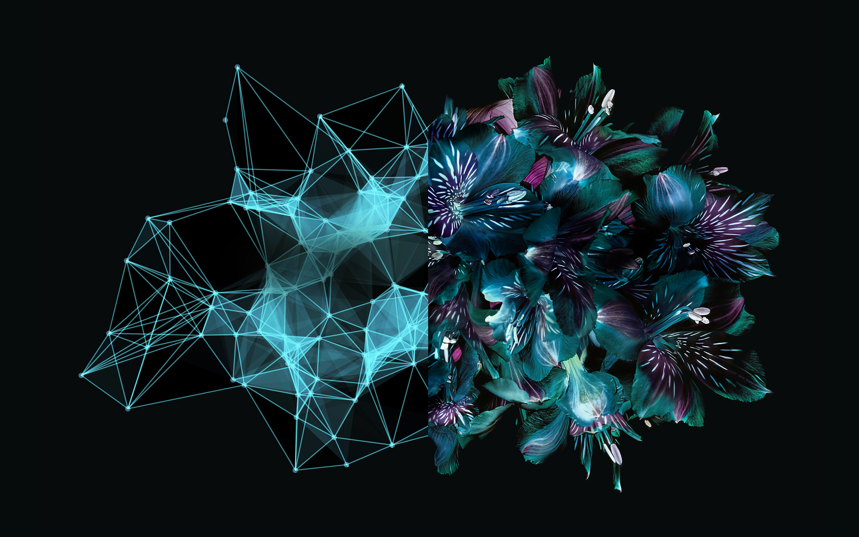 The CTO Playbook for Innovation Strategy in Engineering – 2 : The ...