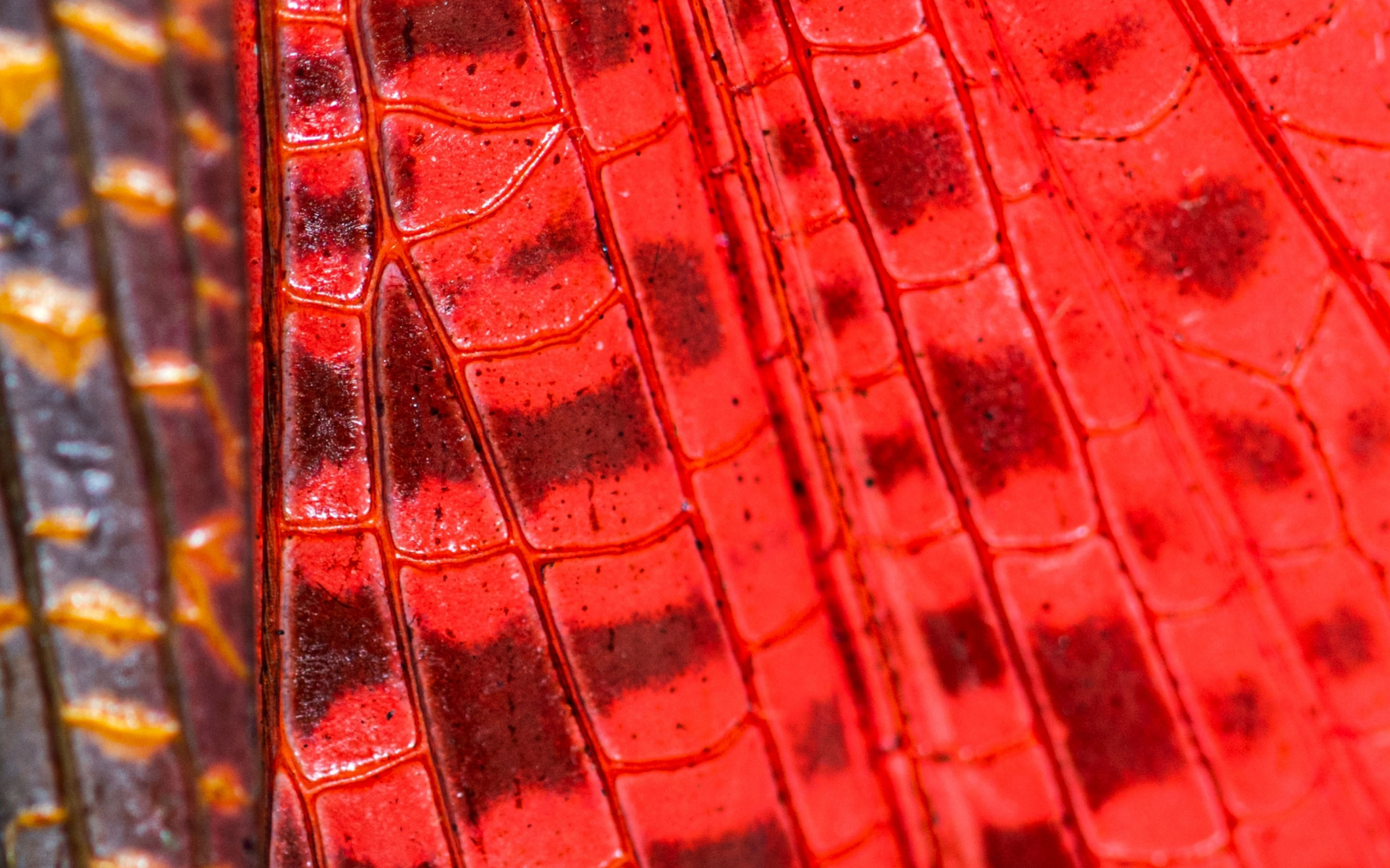 Global data science challenge - Capgemini Belgium