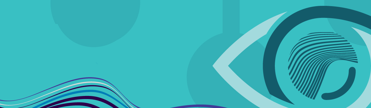 Invisible Infostructure - Capgemini Canada - English