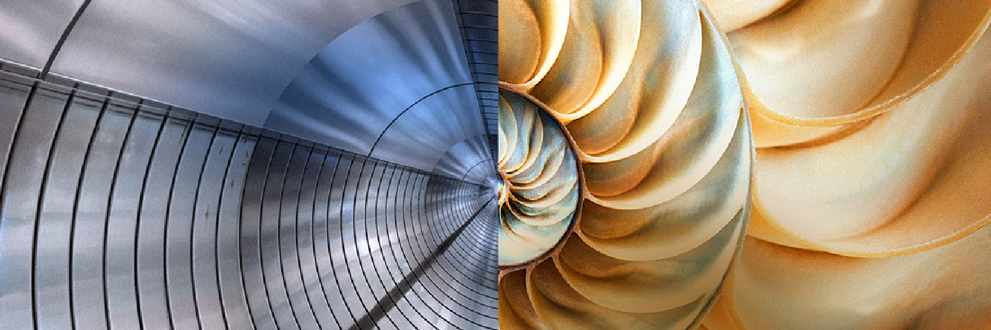 Insight, meet action. - Capgemini China