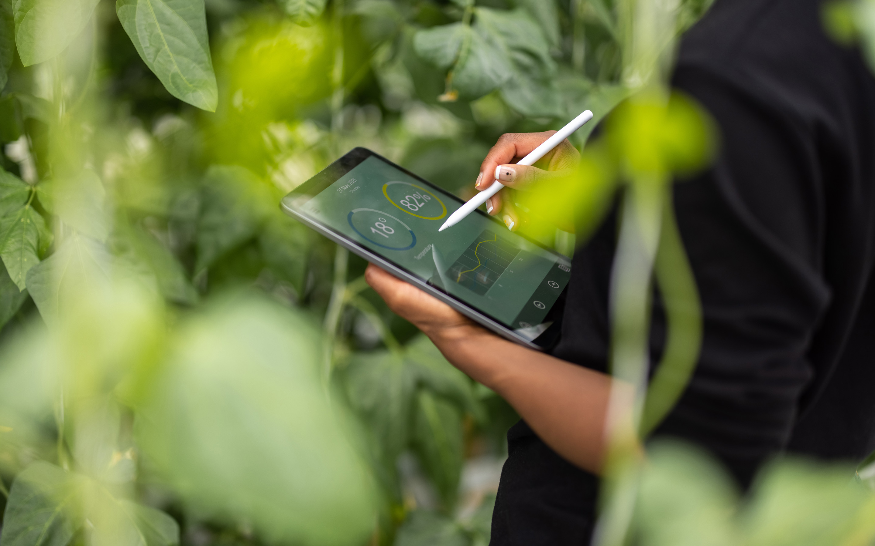 Act Sustainability | Sustainable Operations, Products, & Services ...