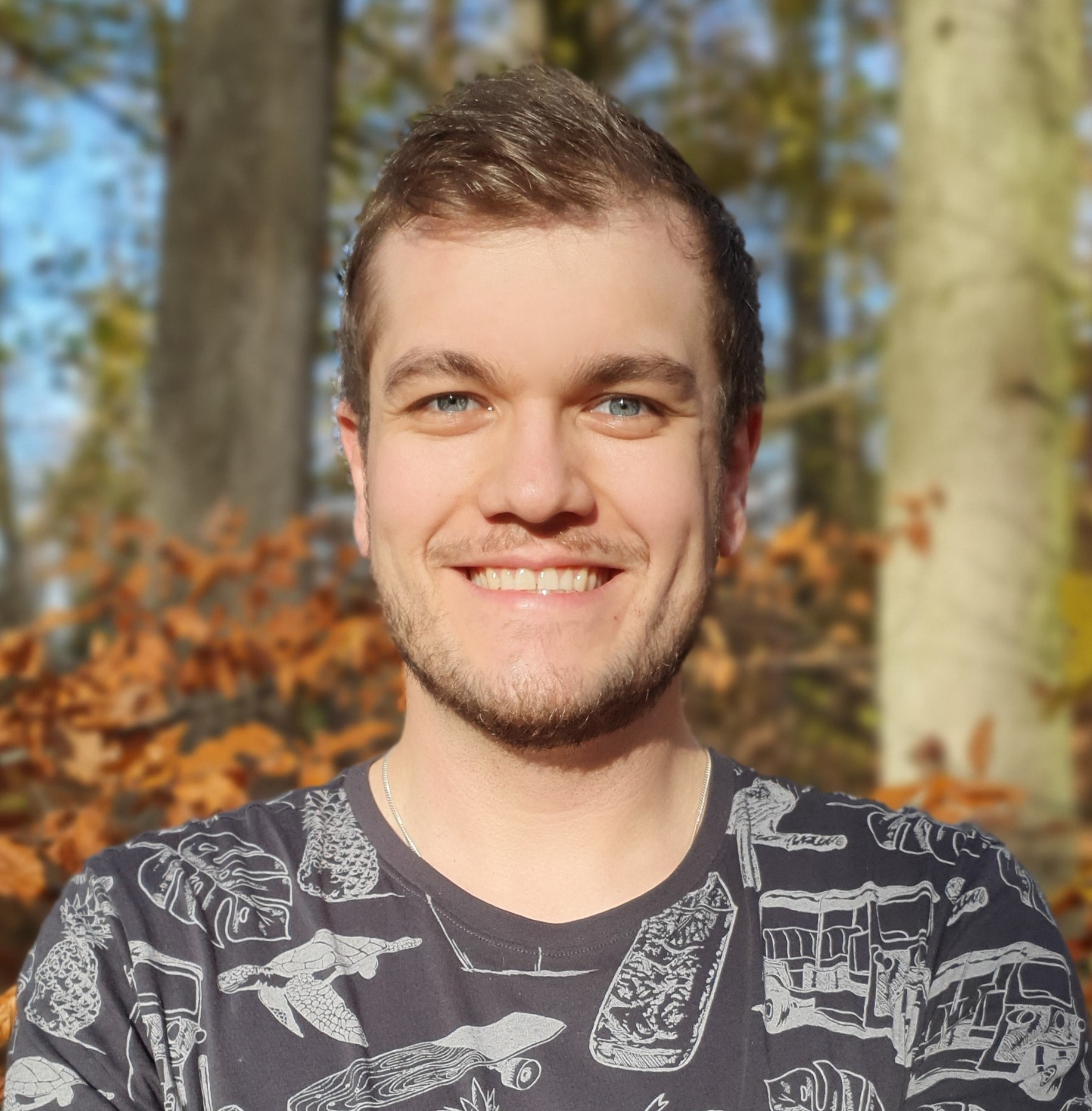 Web Developer für Frontend und Backend bei Capgemini