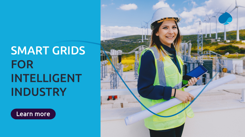 Solutions - Capgemini Denmark