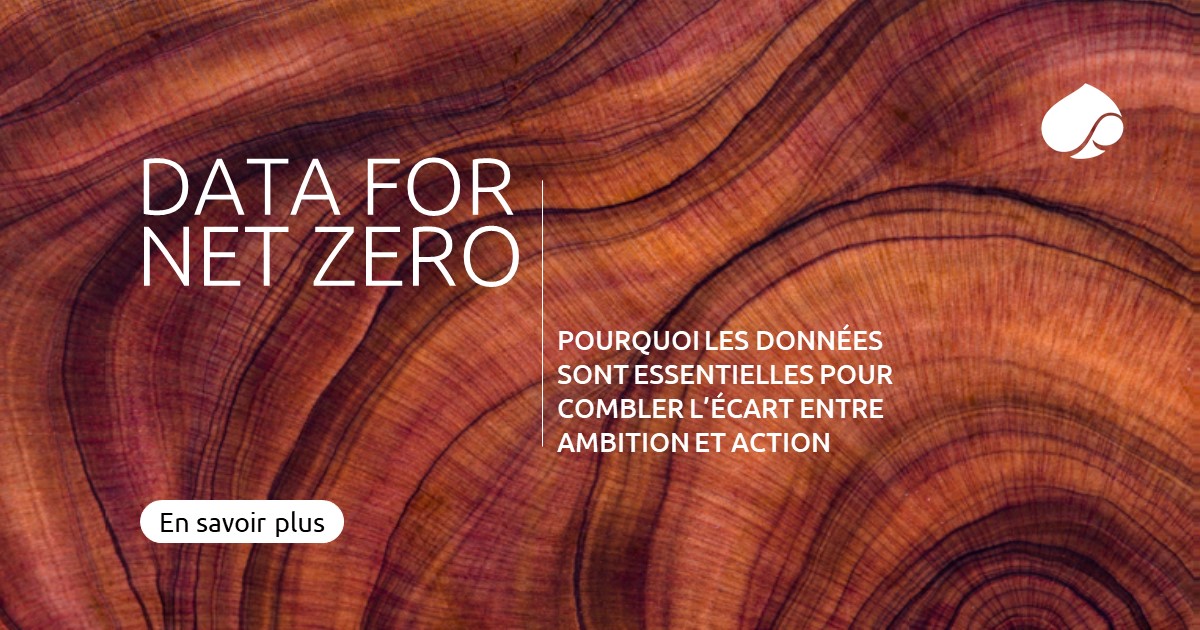 La donnée comme levier majeur de la transition Net Zéro - Capgemini France
