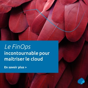 Le FinOps, incontournable pour maîtriser le cloud - Capgemini France