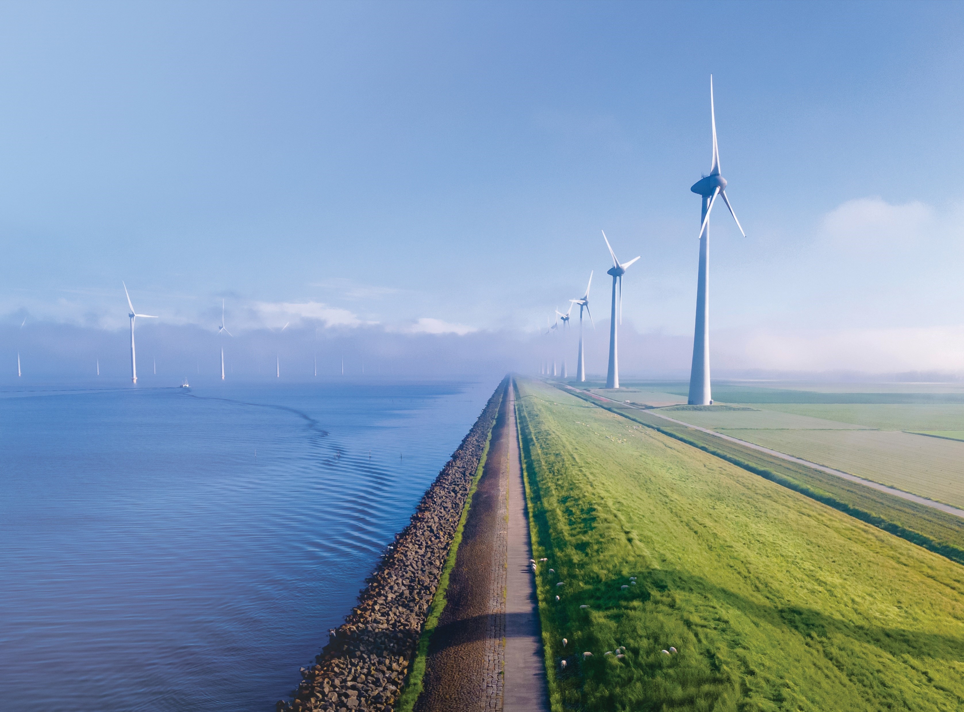 Reforming distribution networks: the DNO to FSO Transition?