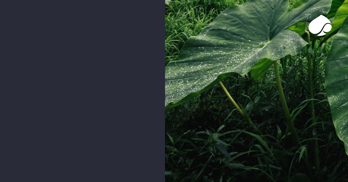 Women in AI awards - Capgemini UK