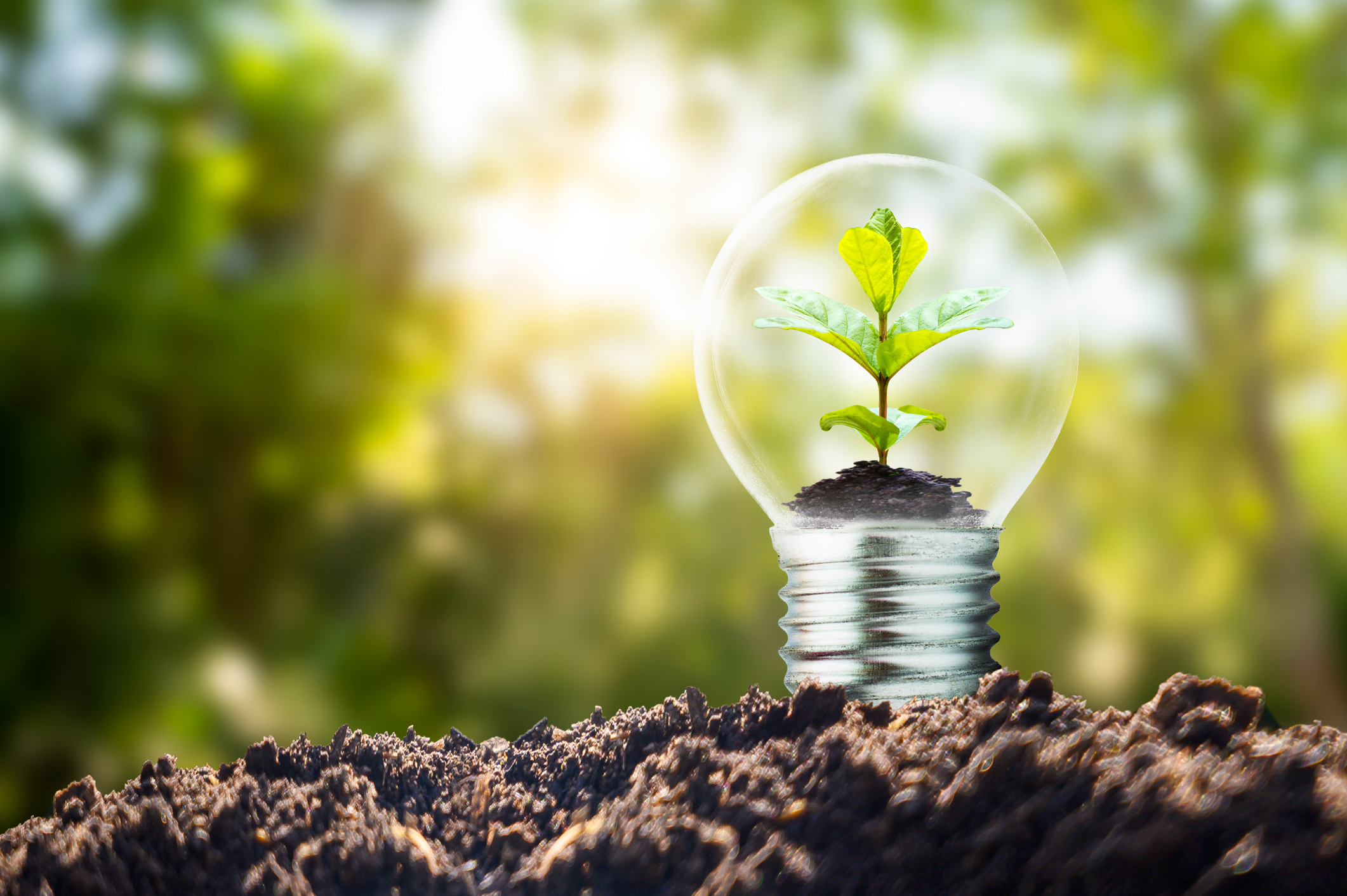 Climate adaptation: Crucial for managing future climate impacts and ...