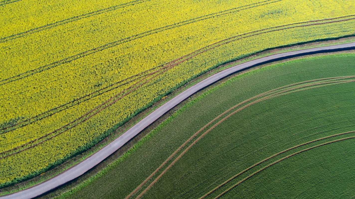 Accelerating the path to industry net zero - Capgemini UK