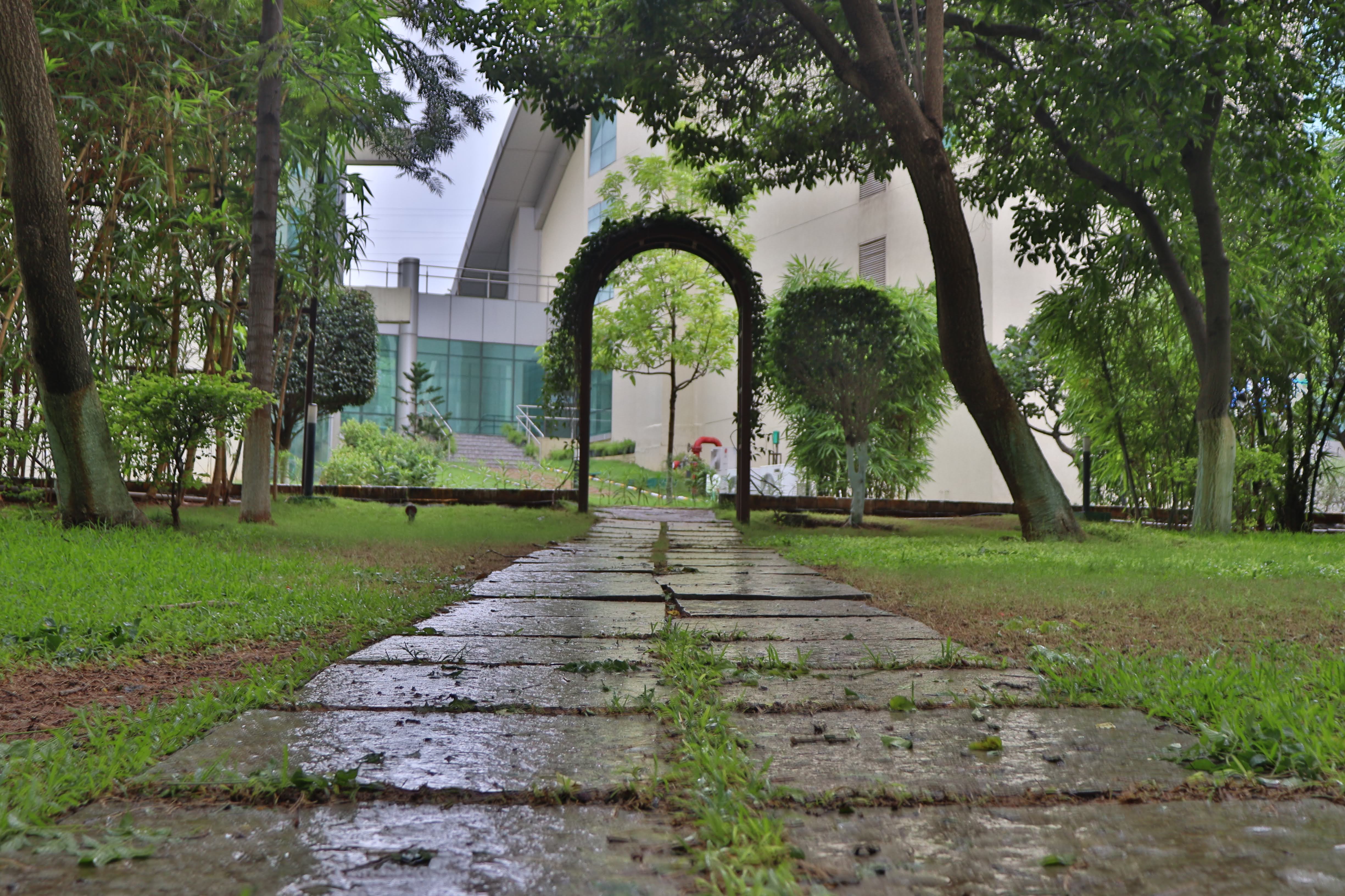 Capgemini Hyderabad Office: Where Innovation Meets Career Growth