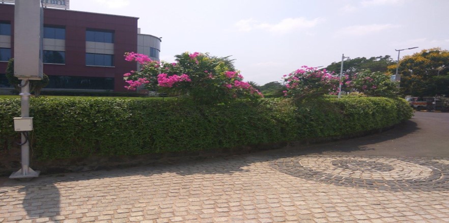 Explore more about our Chennai center offices