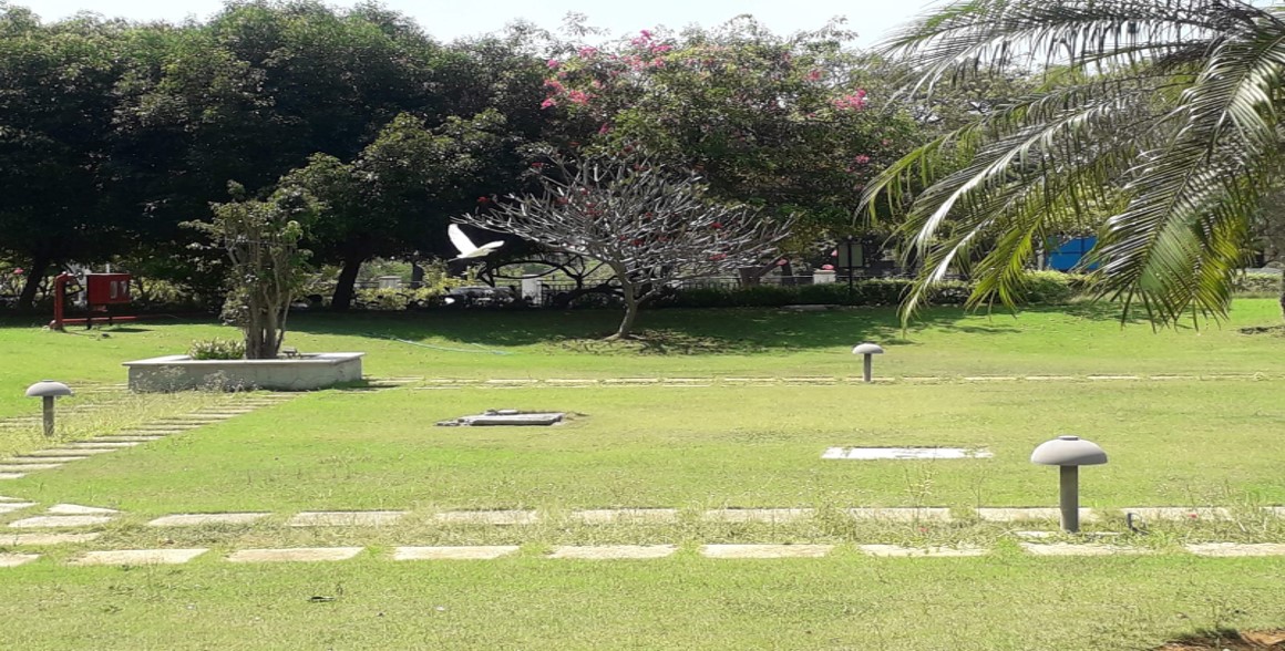 Explore more about our Chennai center offices