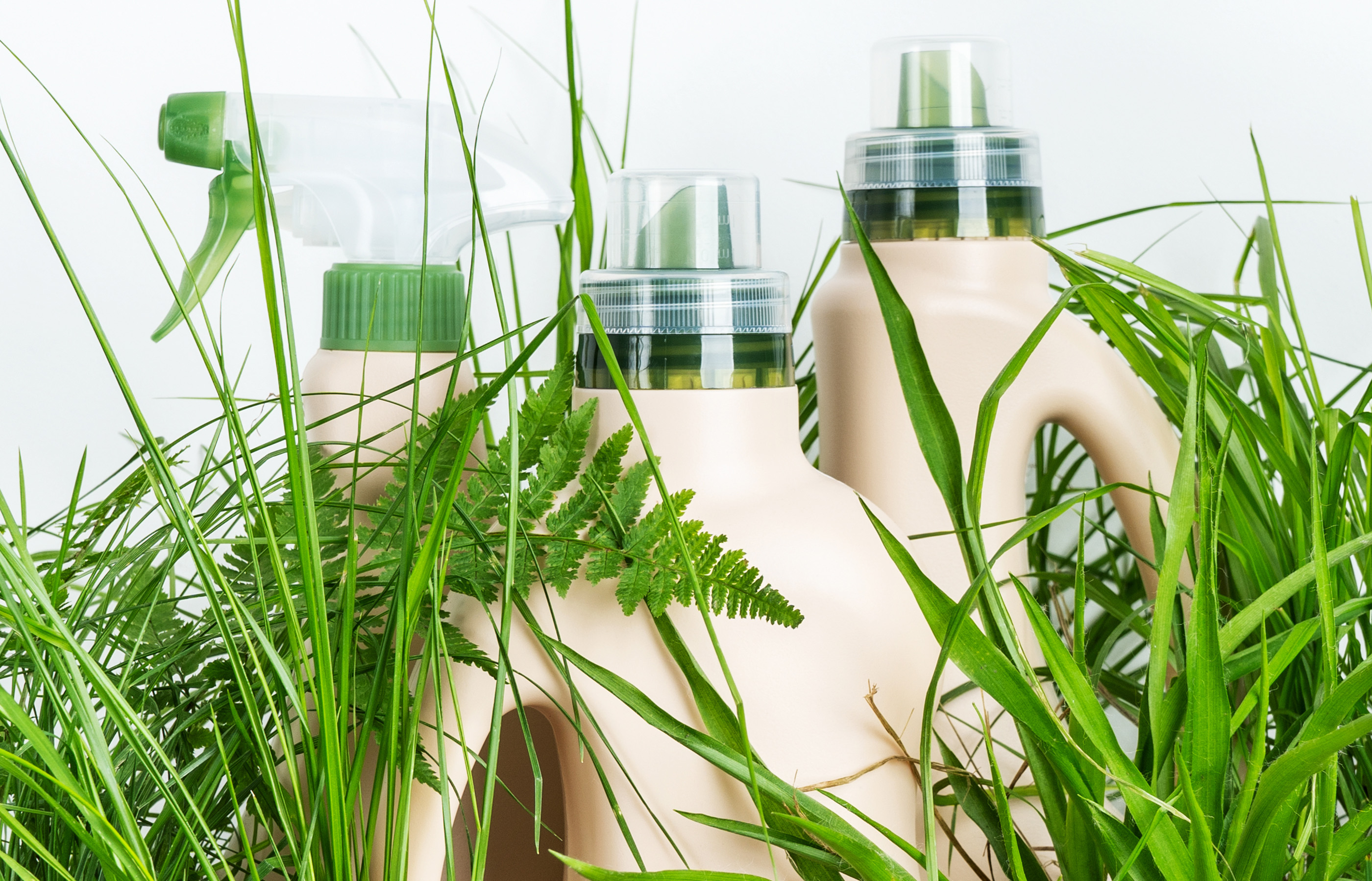 Sustainable packaging - Capgemini India