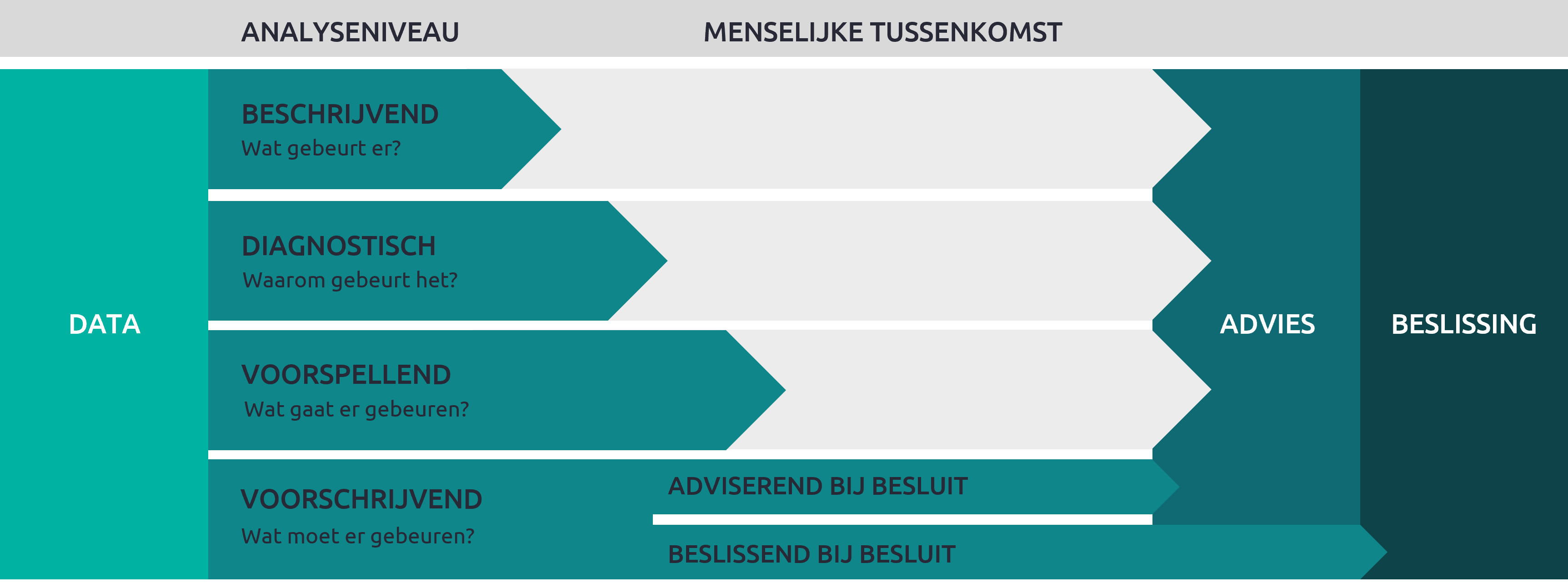 Algoritme als containerbegrip