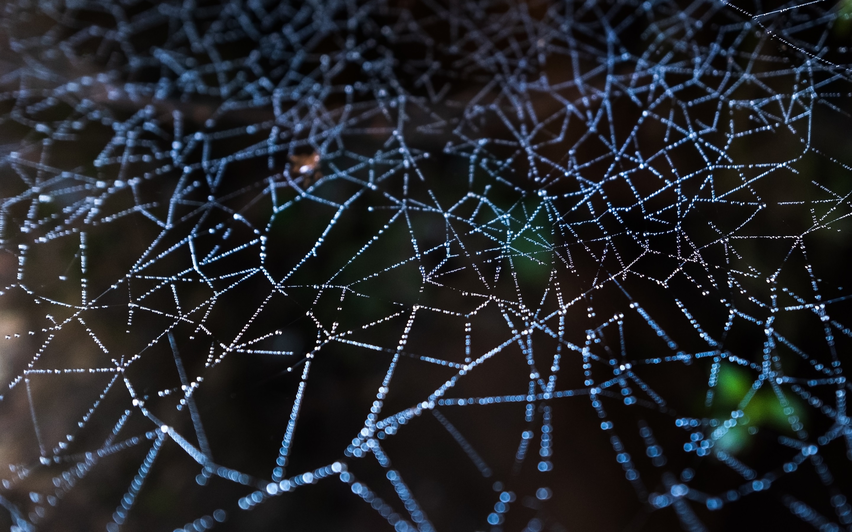 Future of B2B Platforms: AI, Sustainability & Value | Capgemini Invent