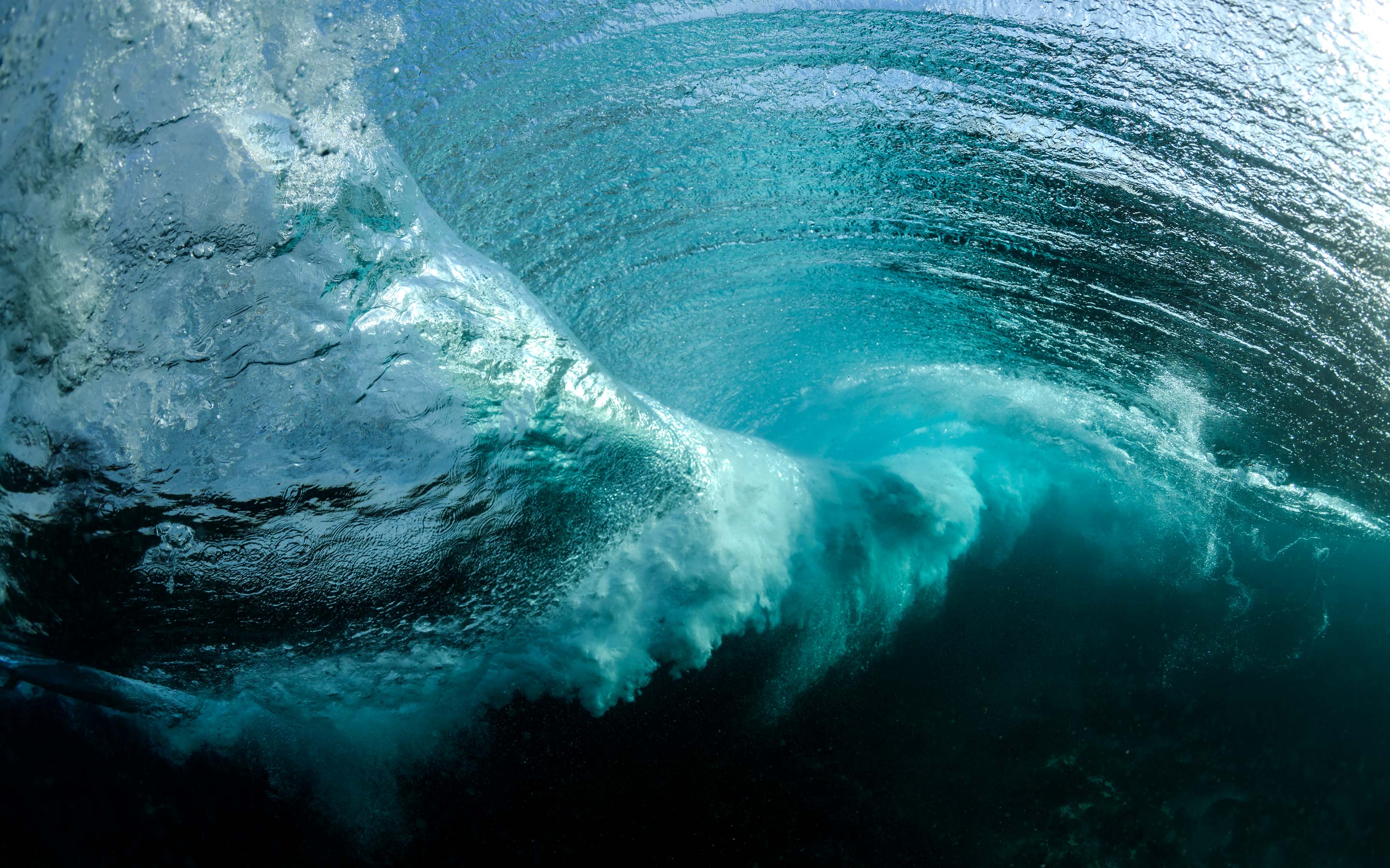 Data-powered Innovation Review | Wave 12 - Capgemini USA