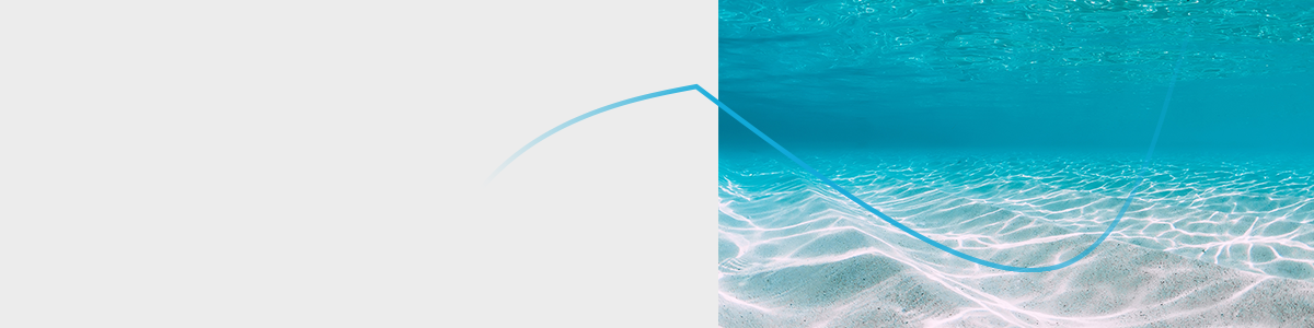 The wave of data in oceans - Capgemini USA