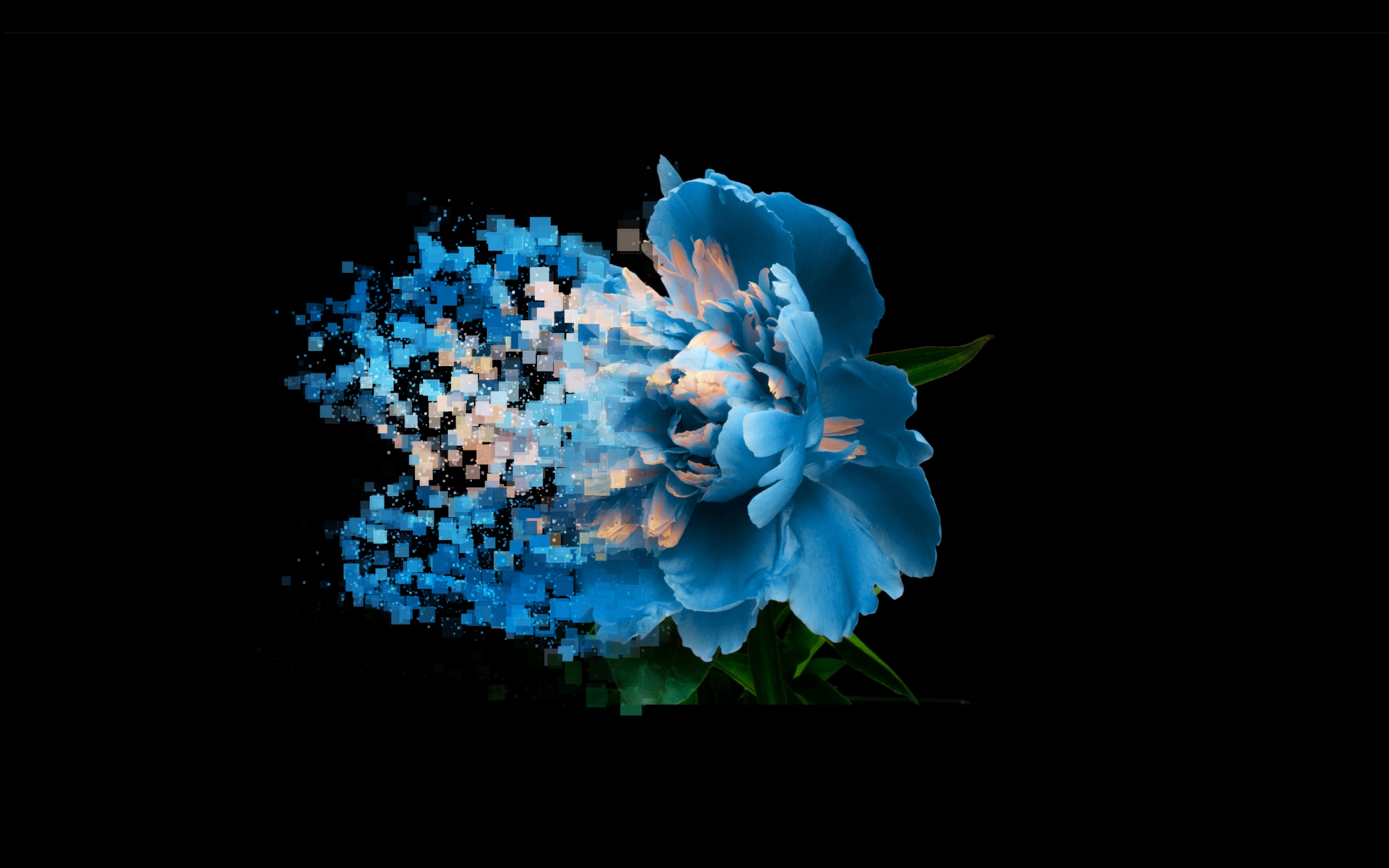 Sibos 2022 - Capgemini USA