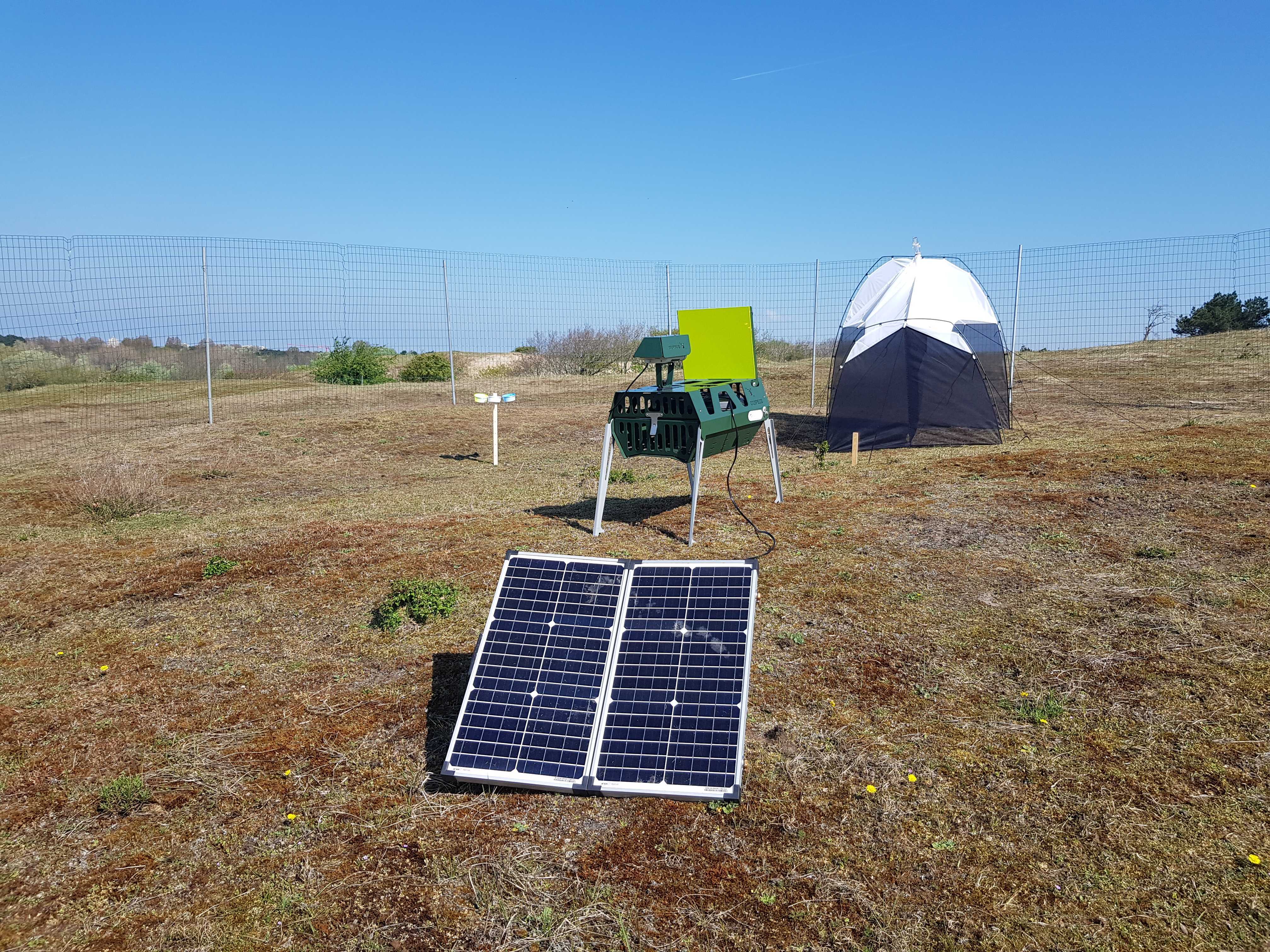 Protecting biodiversity by listening to insects - Capgemini USA