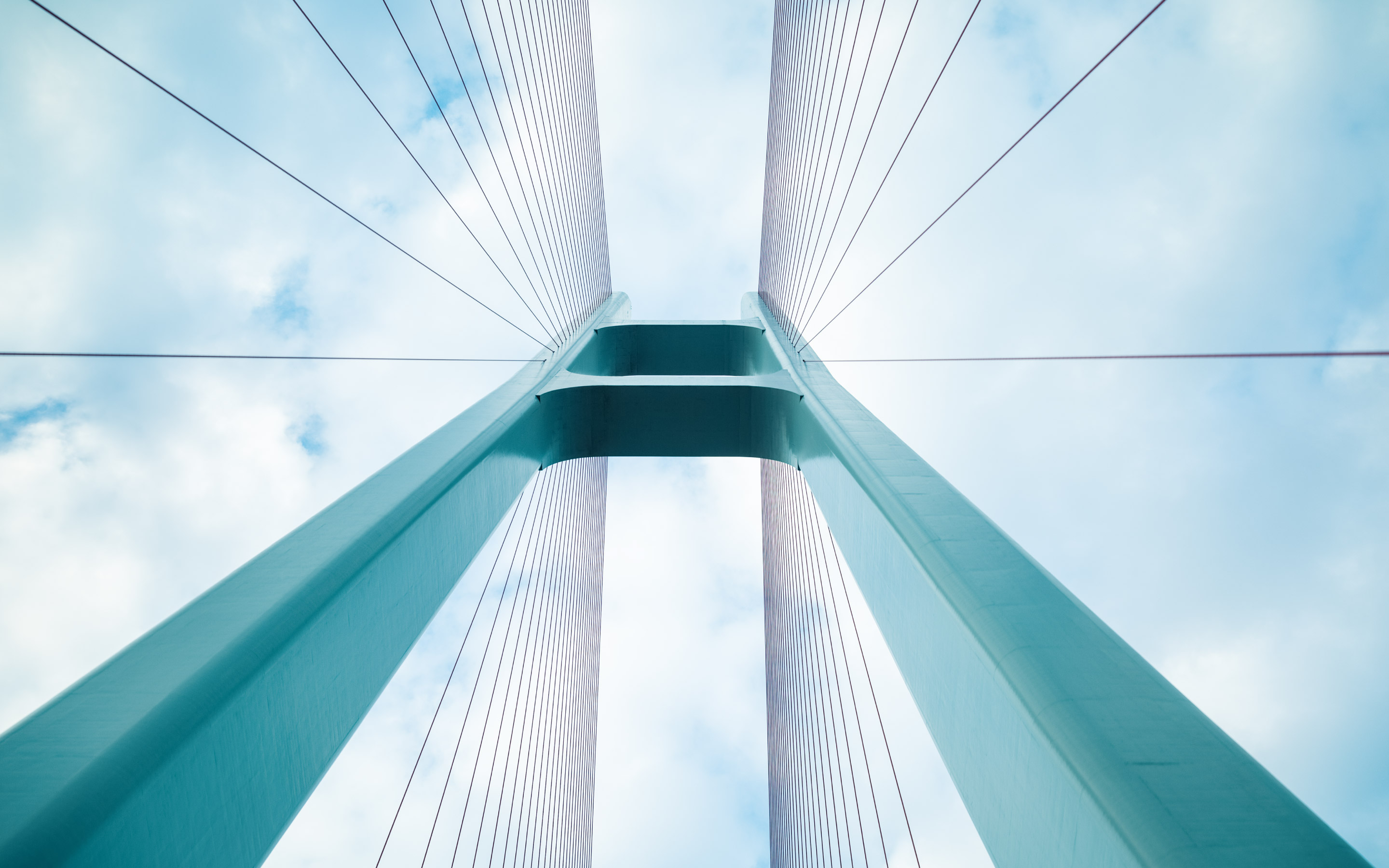 The automation ecosystem – unlocking the full potential of an ...