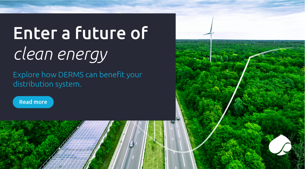 Distributed energy resource management systems - Capgemini USA