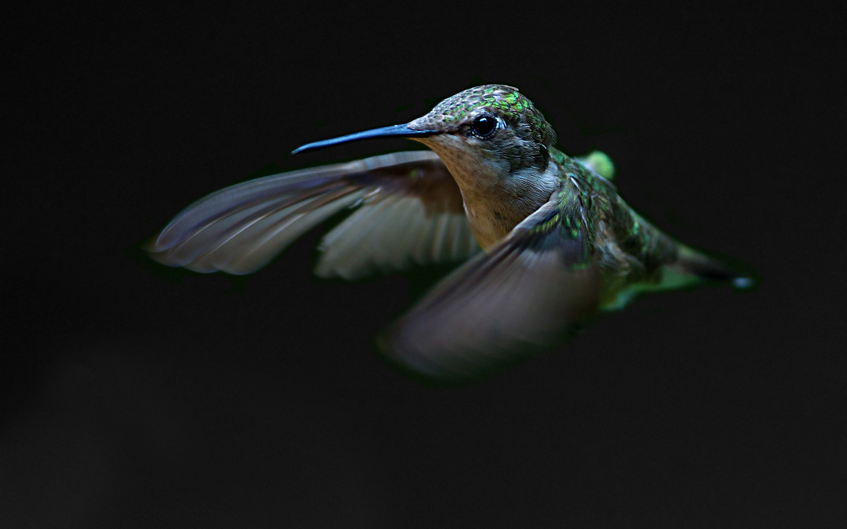 Green games - Capgemini UK