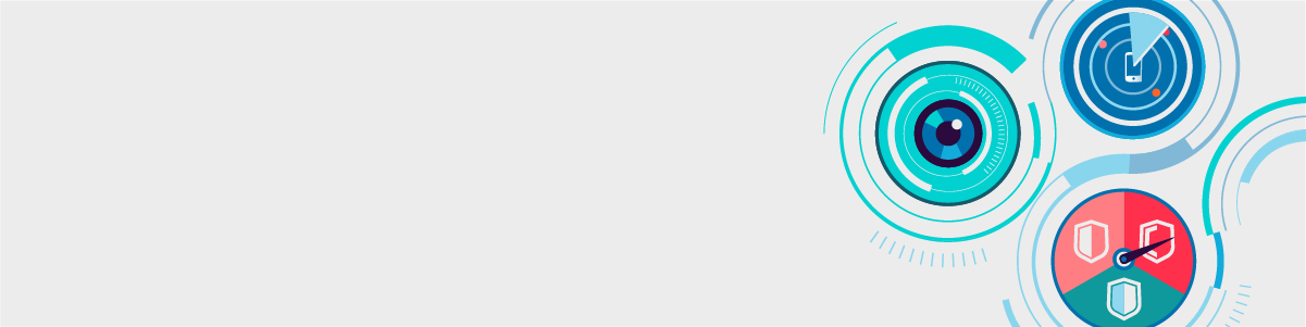 Schrems II – an overview on how to proceed - Capgemini