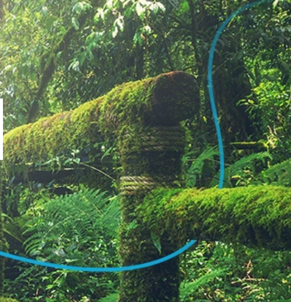 Why is a renewable energy sourcing strategy essential on your path ...