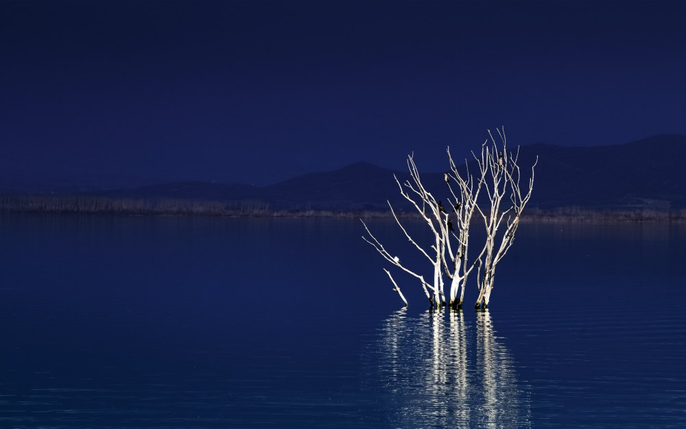 Our World Reports - Capgemini Egypt