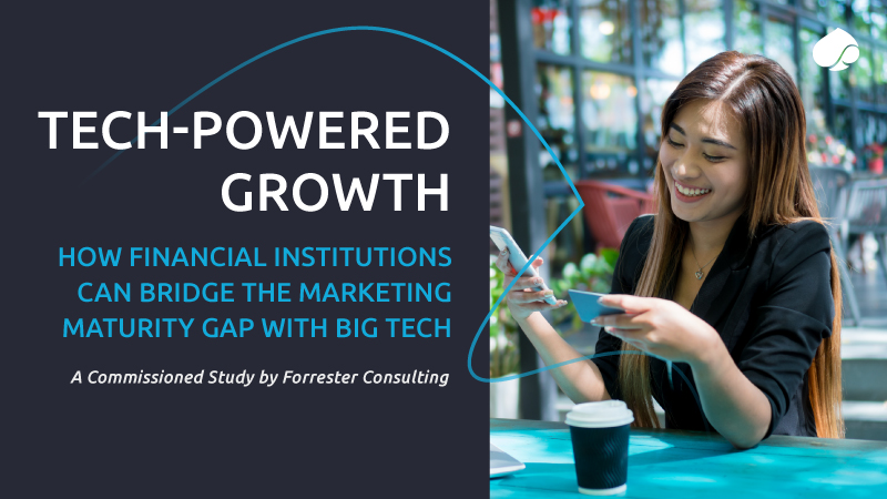 Tech-powered growth: How financial institutions can bridge the martech ...