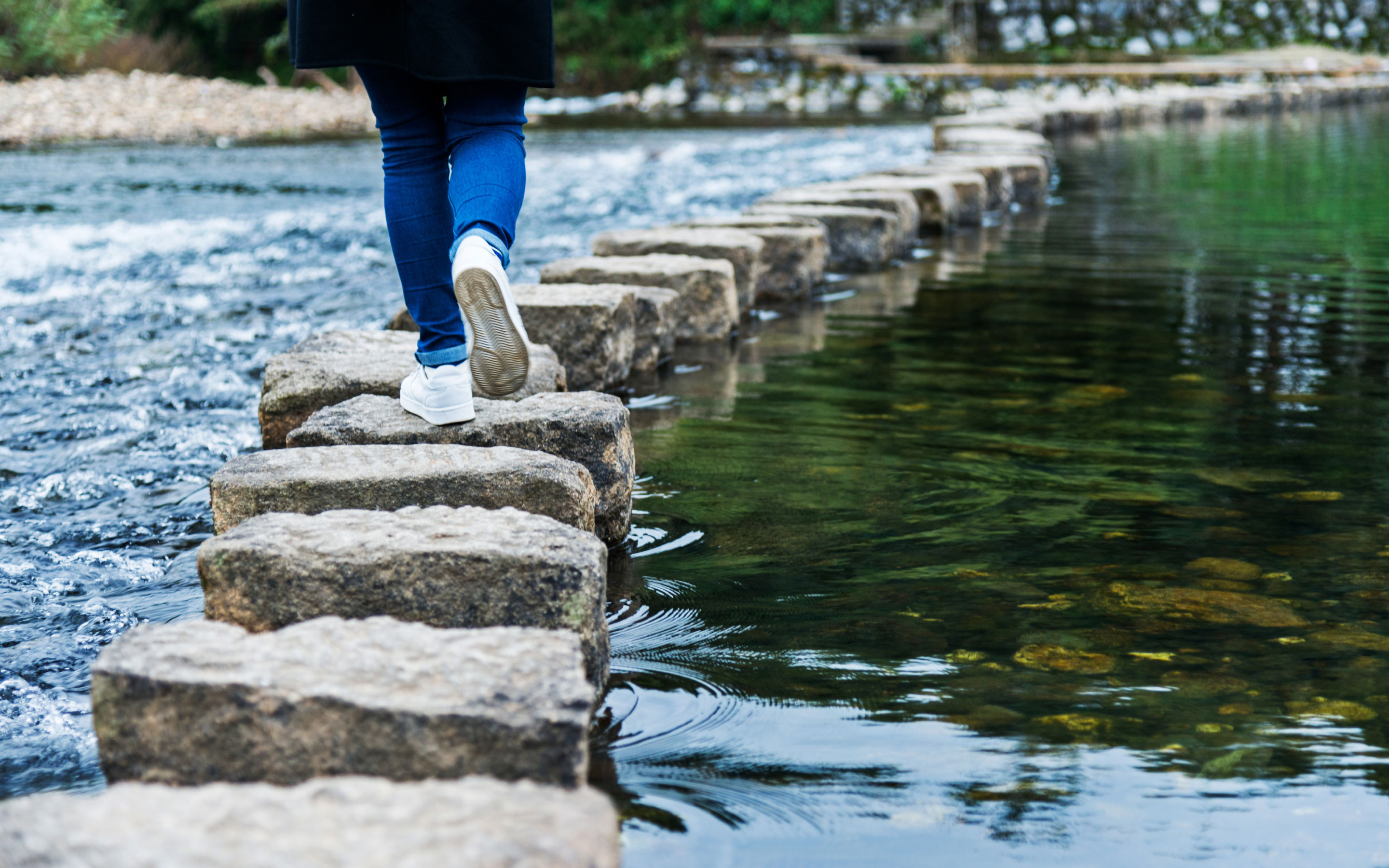 Wellness-as-a-Service for Life and Health Insurers | Capgemini