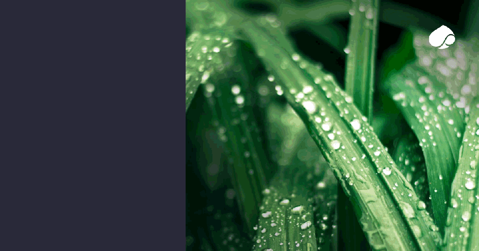 Data for Net Zero | Capgemini