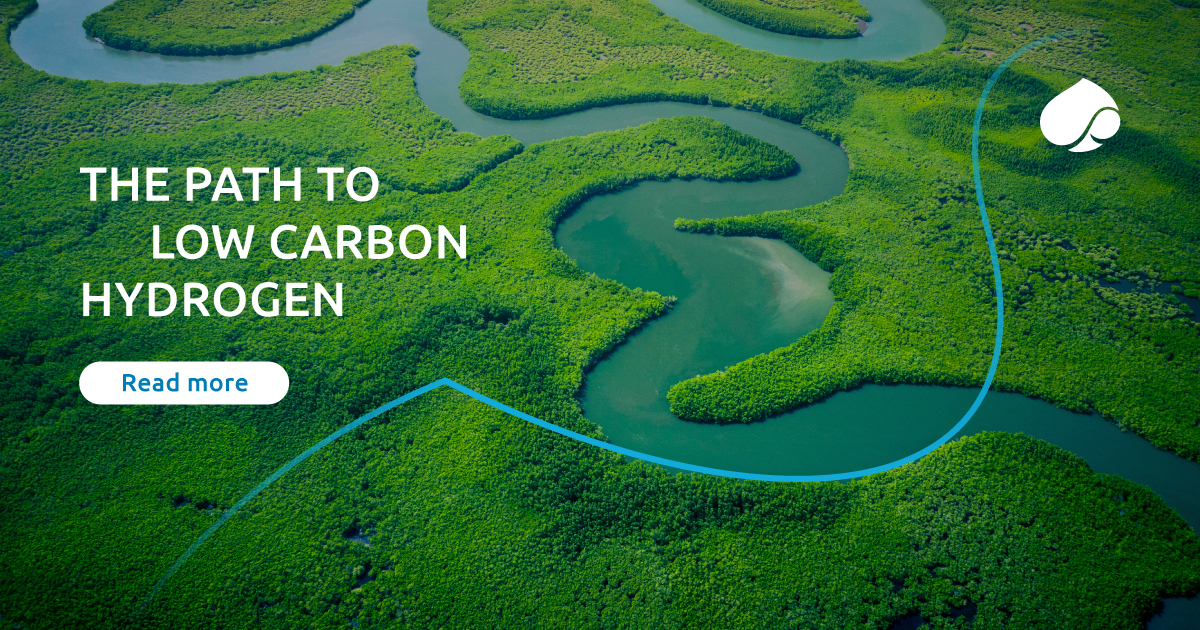 The path to low carbon hydrogen - Capgemini