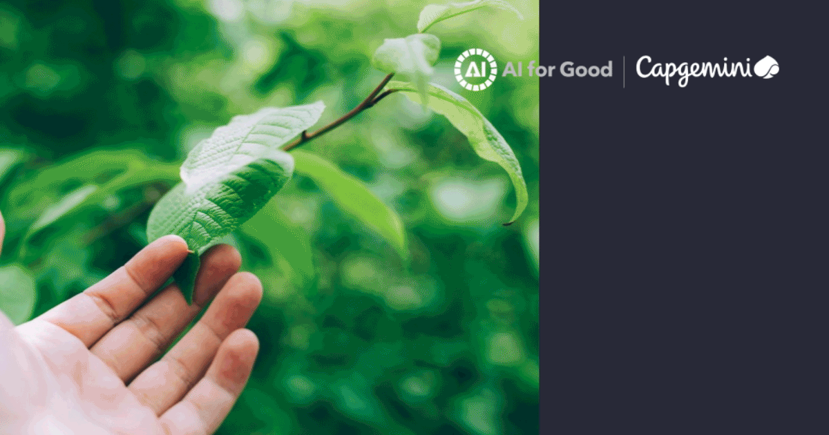 How to safeguard and protect our global forest ecosystems? - Capgemini