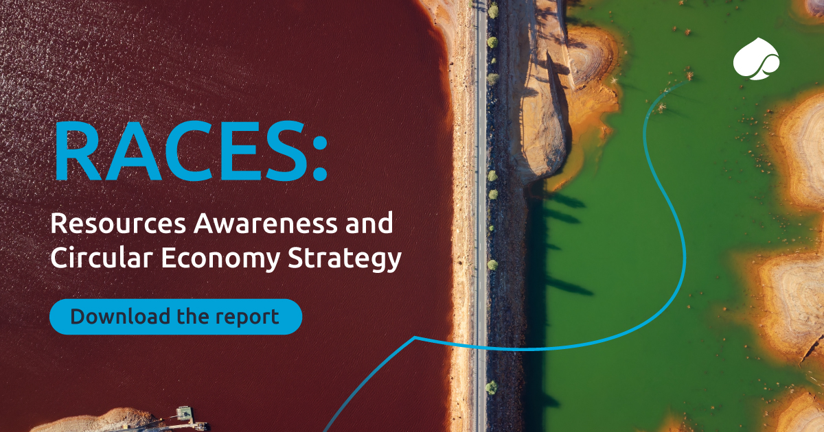 Races: resources awareness and circular economy strategy - Capgemini