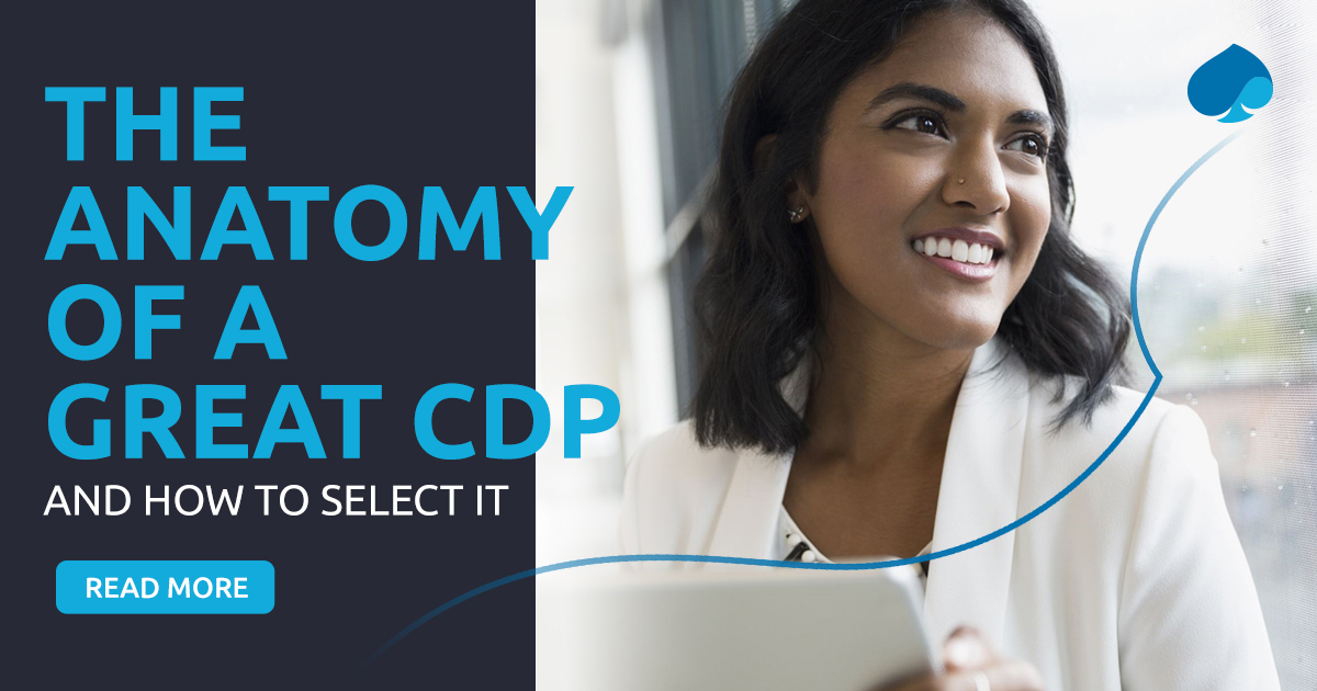 The anatomy of a great CDP - Capgemini