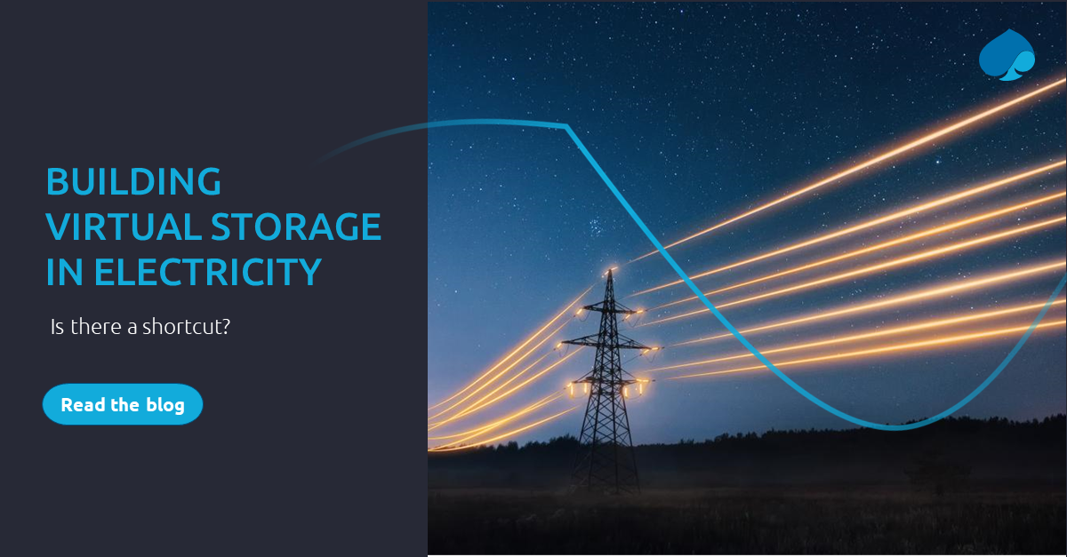Building virtual storage in electricity - Capgemini