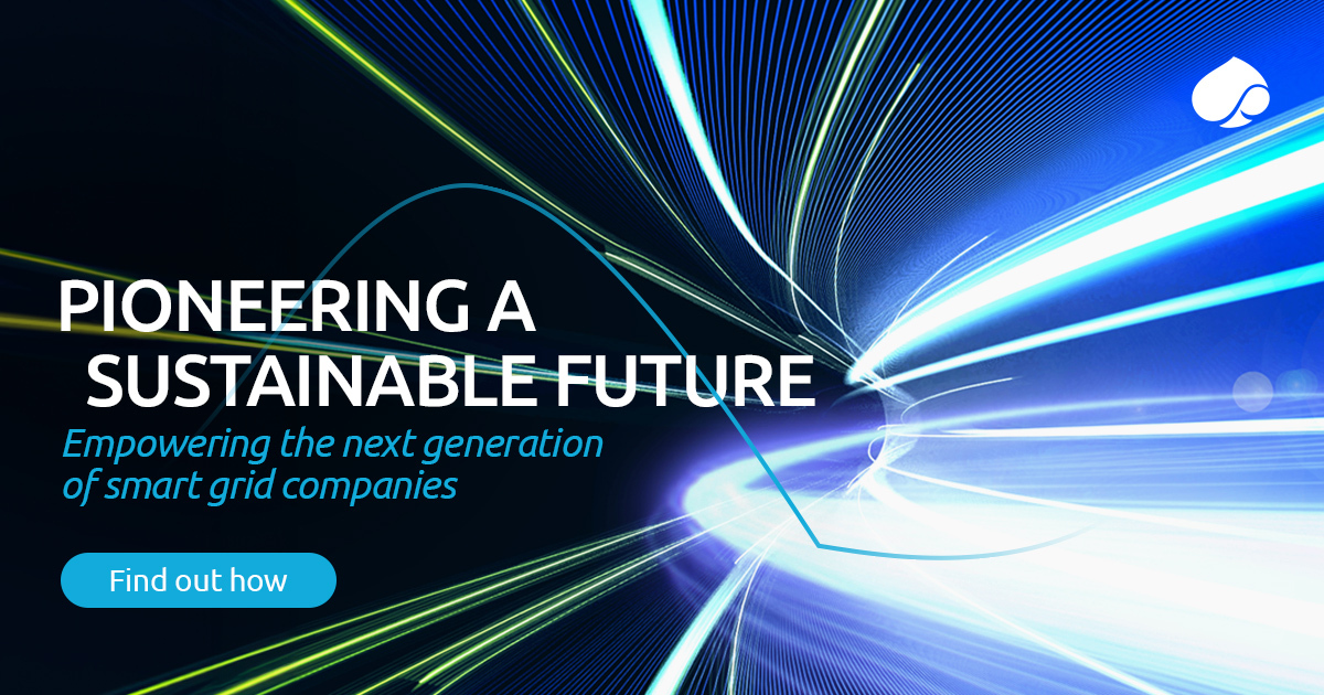 Smart grid – technologies for the future - Capgemini