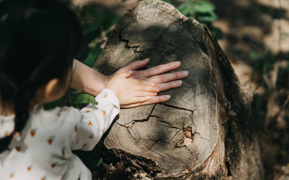 Life insurance and annuity conference 2024 - Capgemini