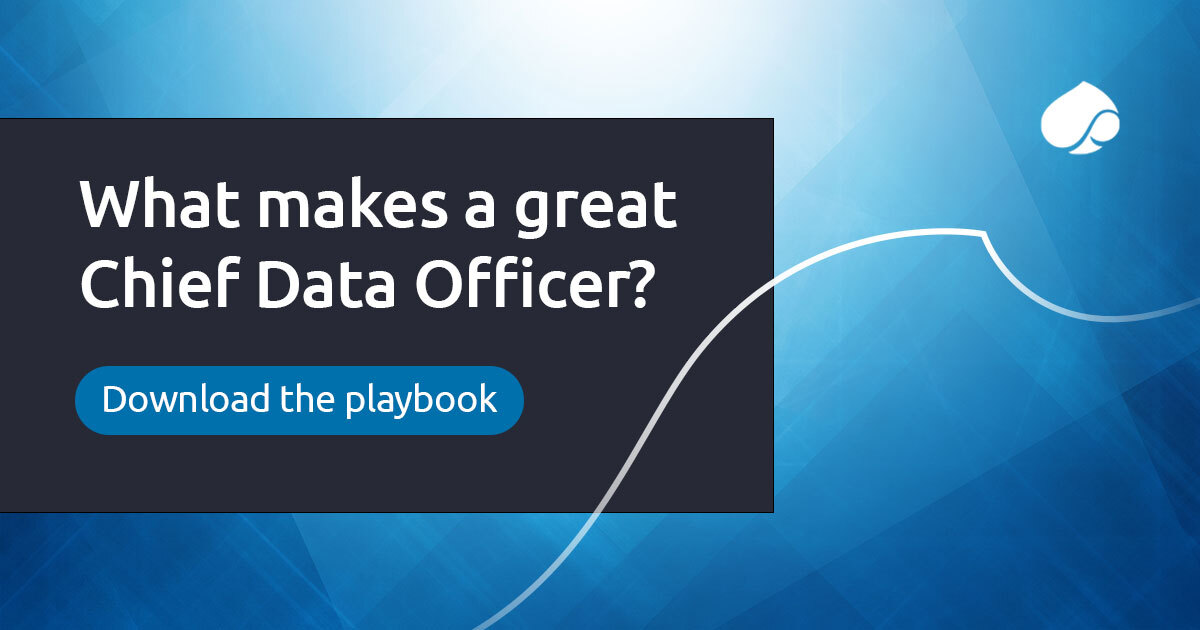Public Sector Chief Data Officers (CDO) Playbook | Capgemini