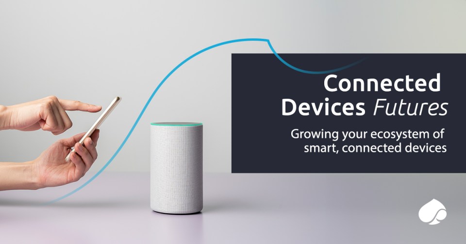 The Race to the Connected Devices Ecosystem: Accelerate Time-to-Market ...