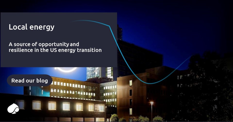 Local energy: a source of opportunity and resilience in the US energy ...
