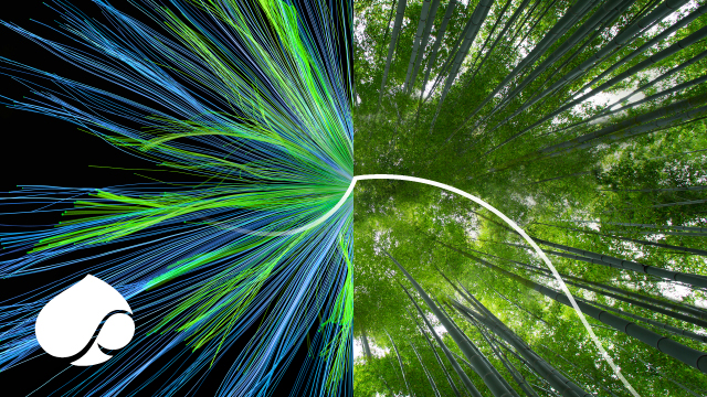 FinOps, meet Green Ops: Aligning your cloud strategy with ...