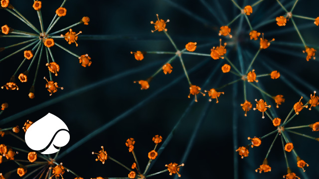 Sustainable Gen AI - Capgemini Denmark