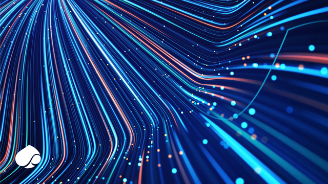 Network equipment providers