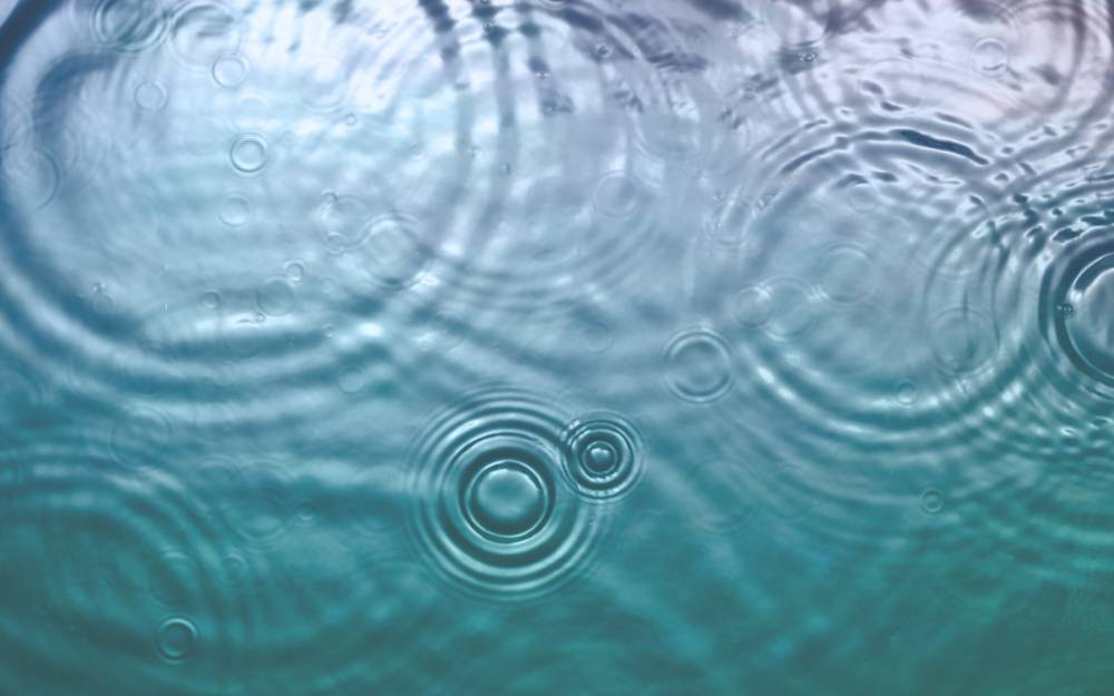 Enterprise Management, Business Transformation And Consulting Services ...