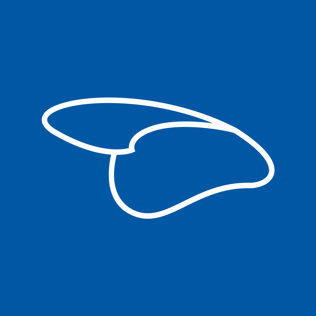 Values and Ethics - Culture and Identity | About Us | Capgemini