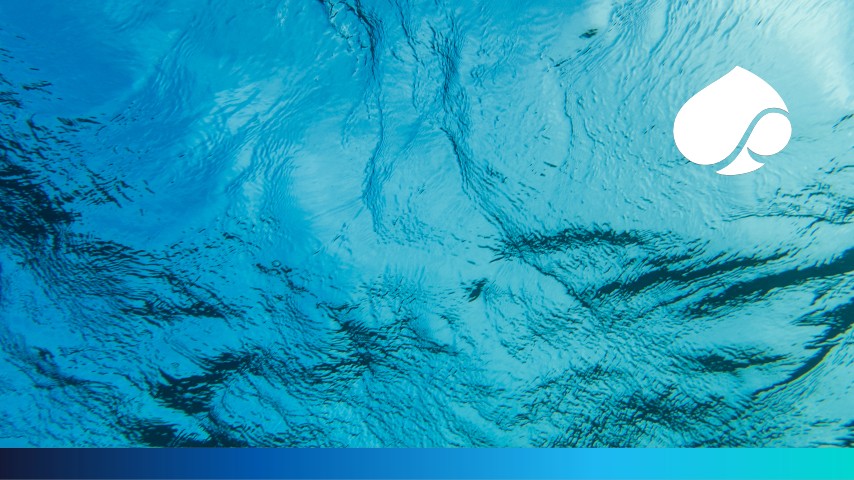 Capgemini named a Leader in 2025 Gartner® Magic Quadrant™ for Custom Software Development ...